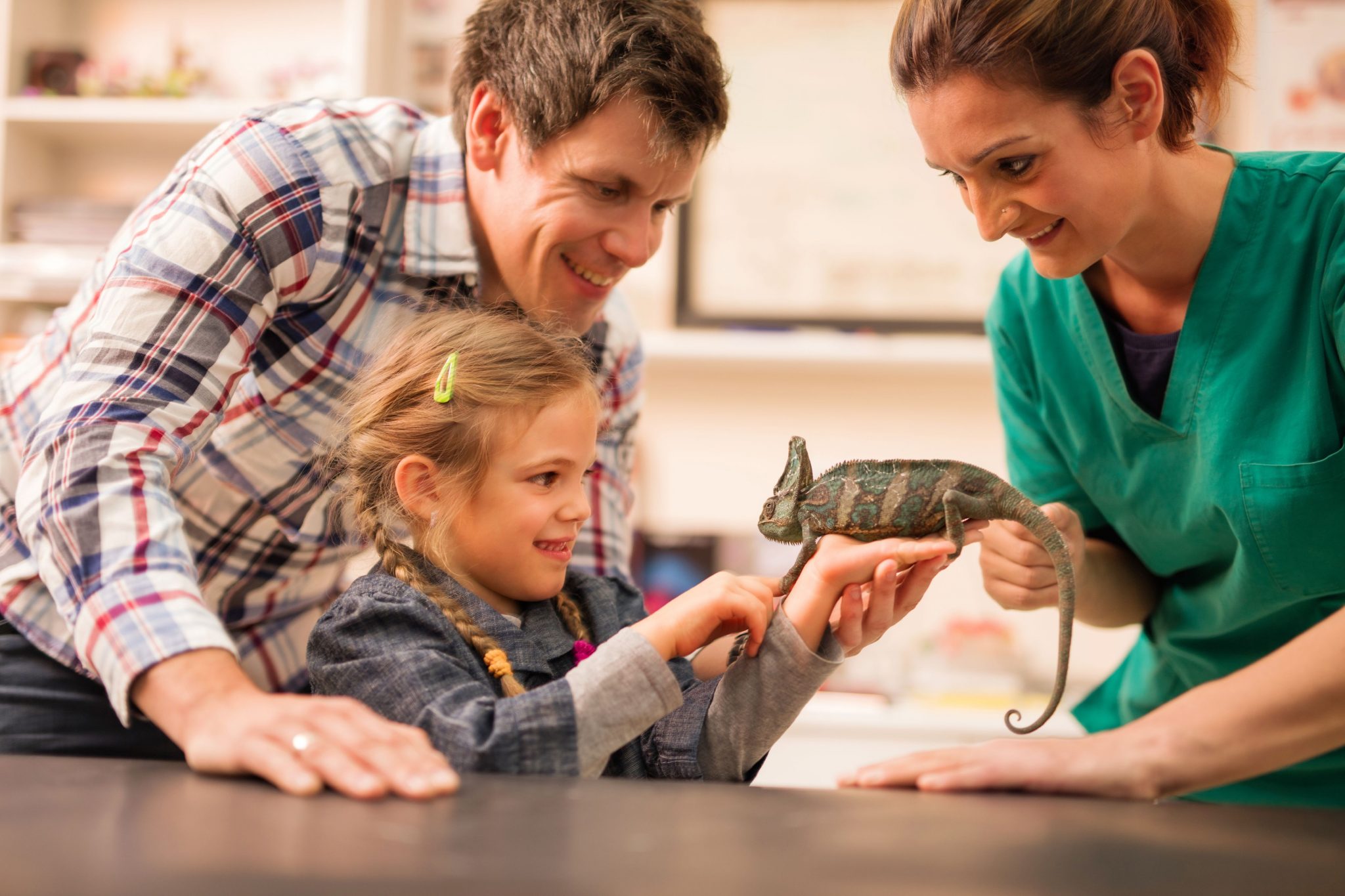 The Best Avian and Exotic Pets for Kids | BeeVet Animal Hospital