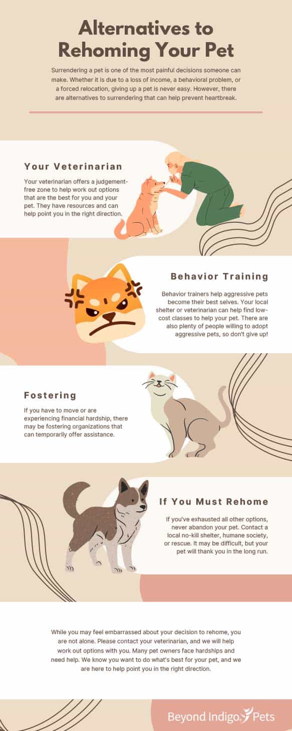 Alternatives-to-Rehoming-Your-Pet-1 | BEEVET Animal Hospital